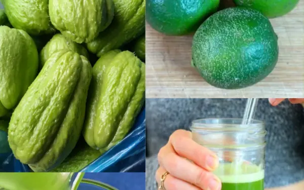 13 Amazing Benefits of Chayote Juice: Embrace Natural Healing and Ditch ...