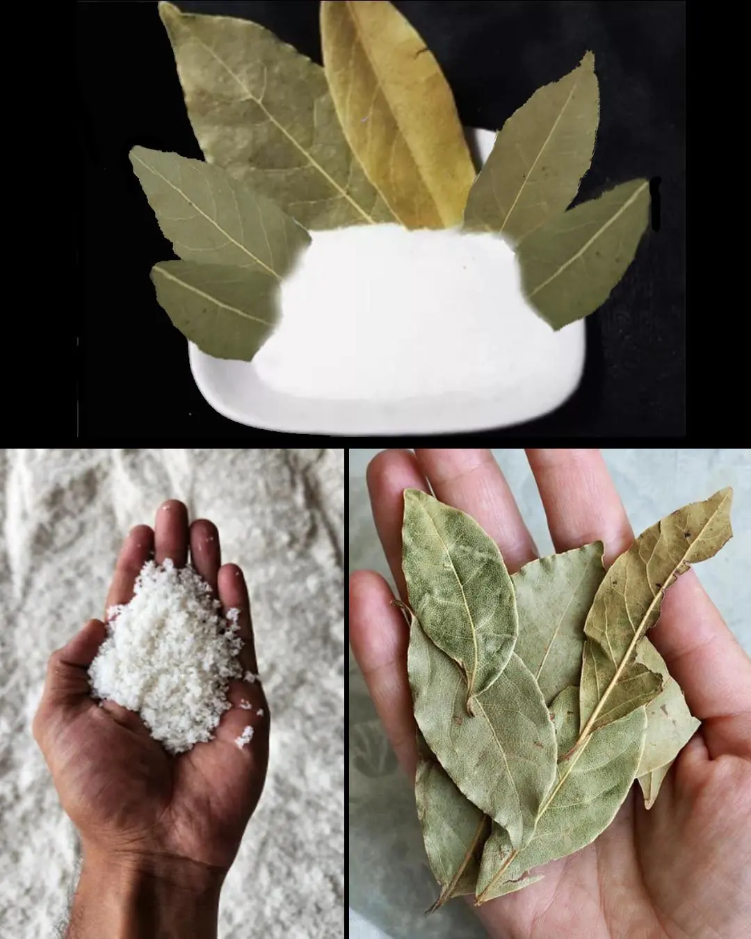Bay Leaf and Salt: A Mixture Worth Its Weight in Gold