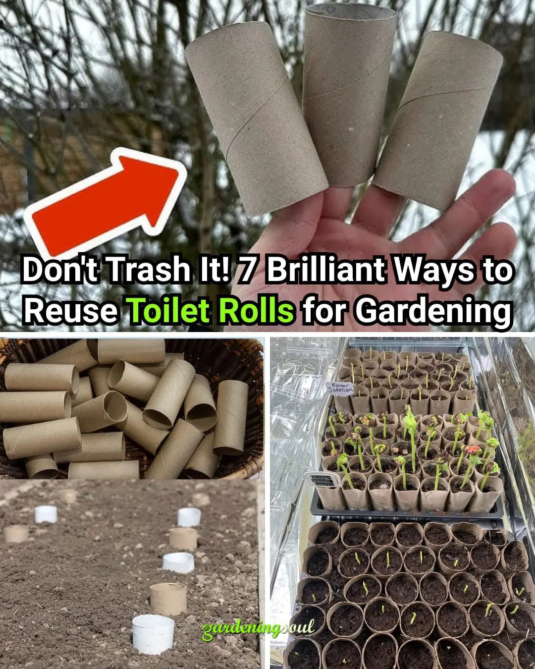 Stop Throwing Away Empty Toilet Rolls: 7 ways To Reuse them Again in ...