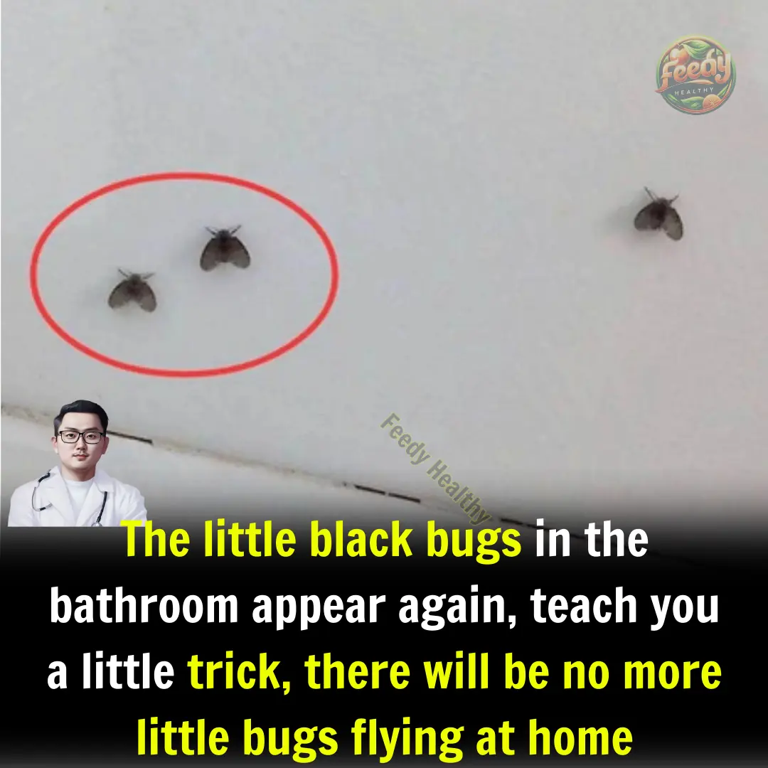 How to Deal with 10 Common Bathroom Bugs