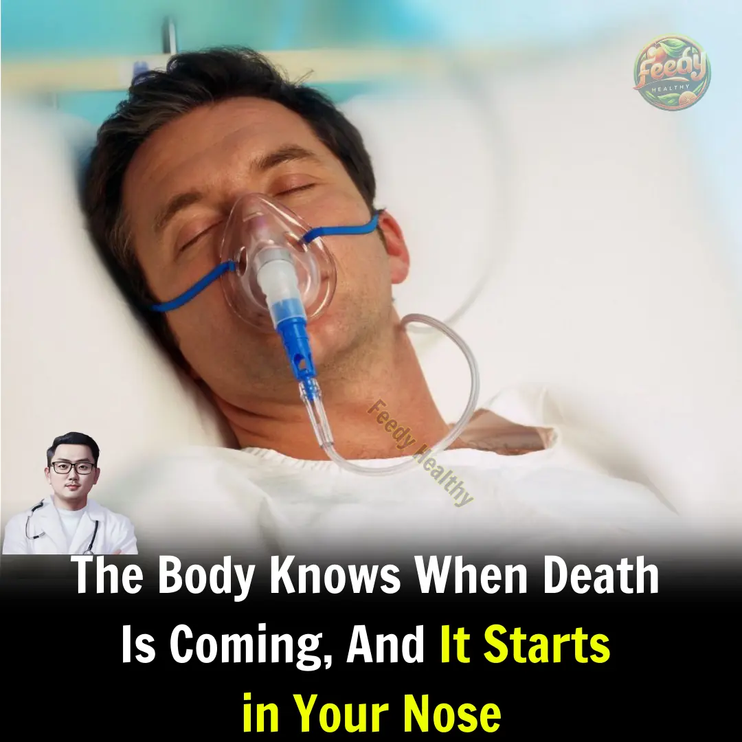 The Body Knows When Death is Near, and It Begins in Your Nose