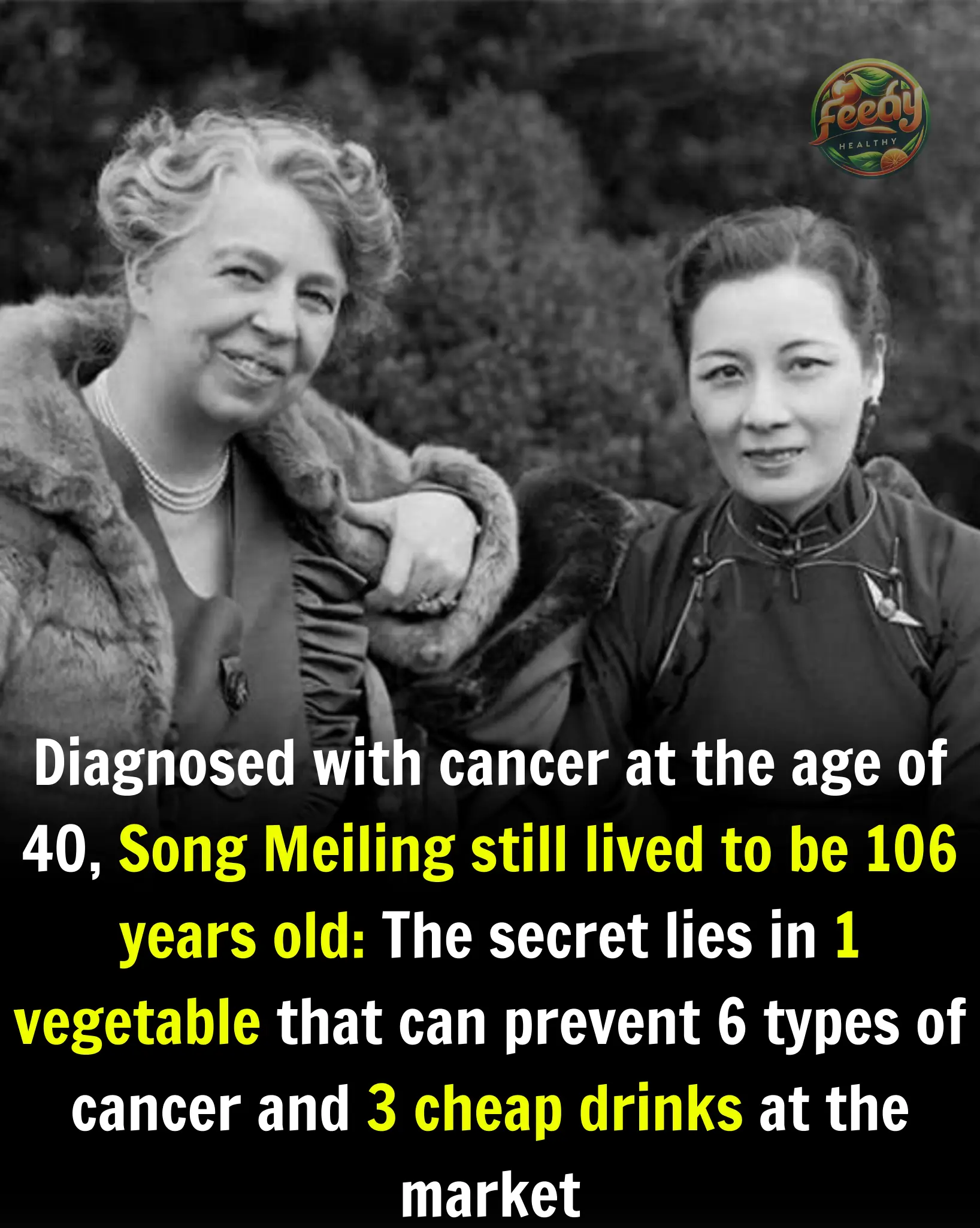 Off The RecordA Legacy Of Health: Soong Mei-Ling’s Longevity And ...