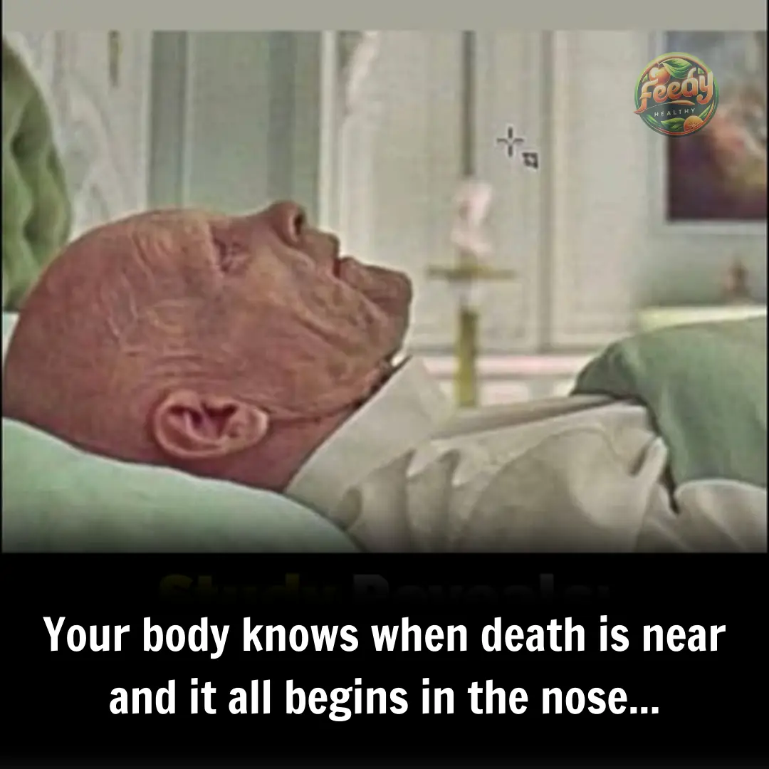 Research shows body senses death is near – it starts in nose