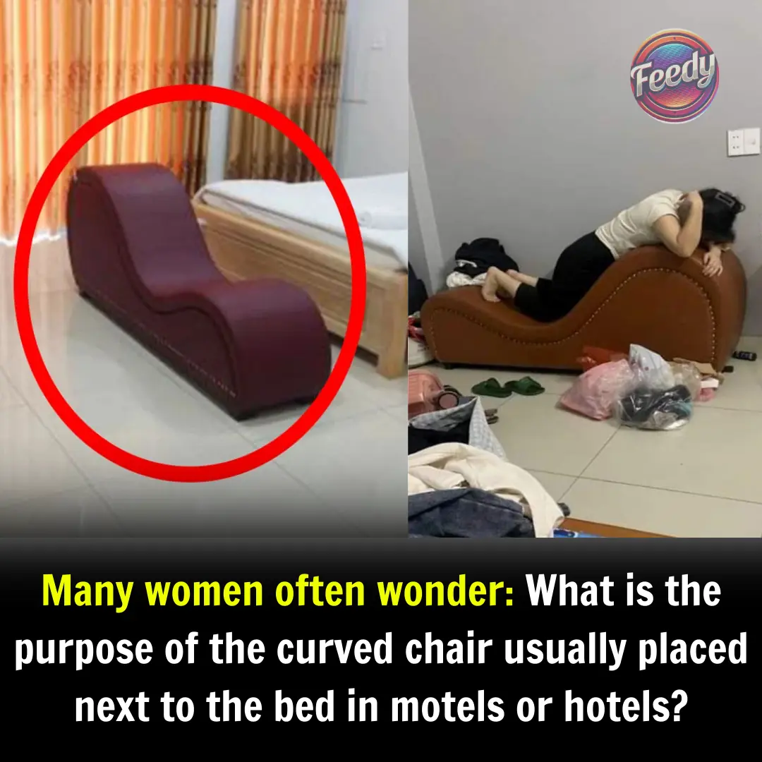 Why Do Hotels Often Have a Curved Chair That Looks Like a Slide? Here’s ...