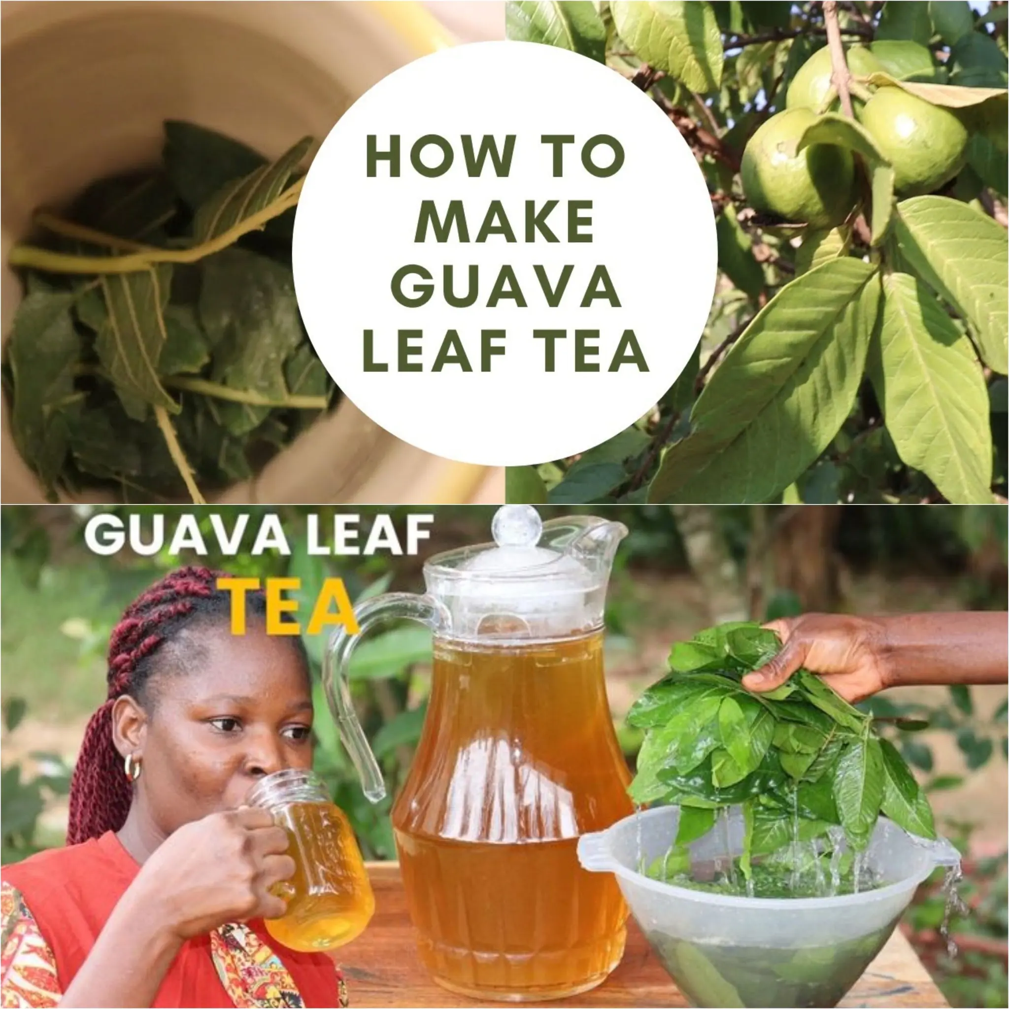 How to Make Guava Leaf Tea – A Natural Drink with Surprising Benefits