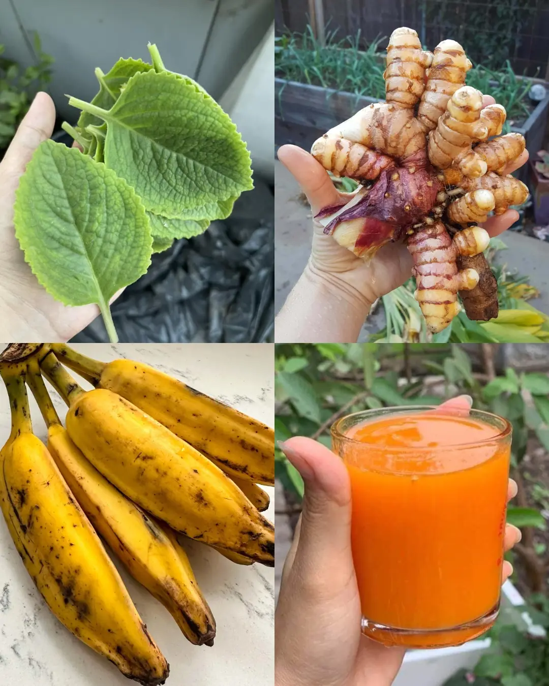 At 60, I Healed Cancer, High Blood Pressure, Diabetes, and Poor ...